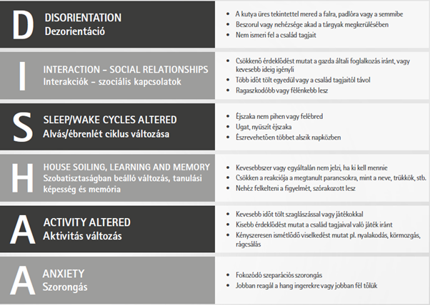 Az agyi öregedés, avagy milyen az élet idősödő kutyával?｜Purina